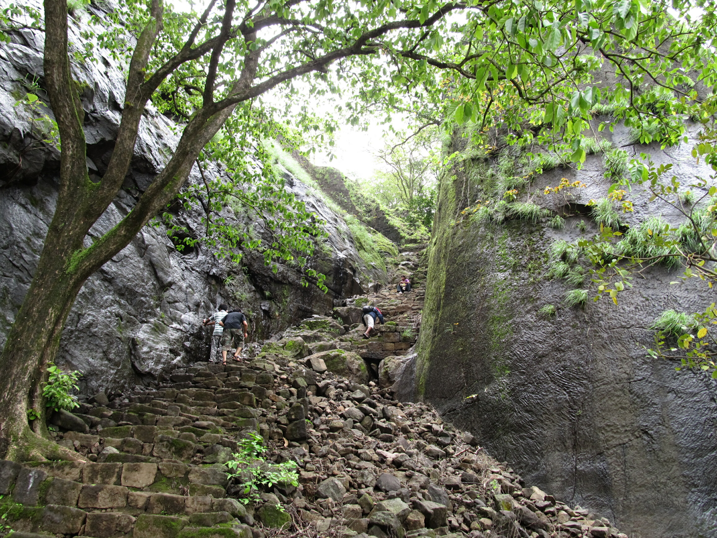 7 spots in the Sahyadris you must trek to this monsoon | Mumbai Live