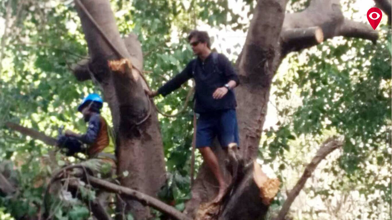 Chipko movement to save trees