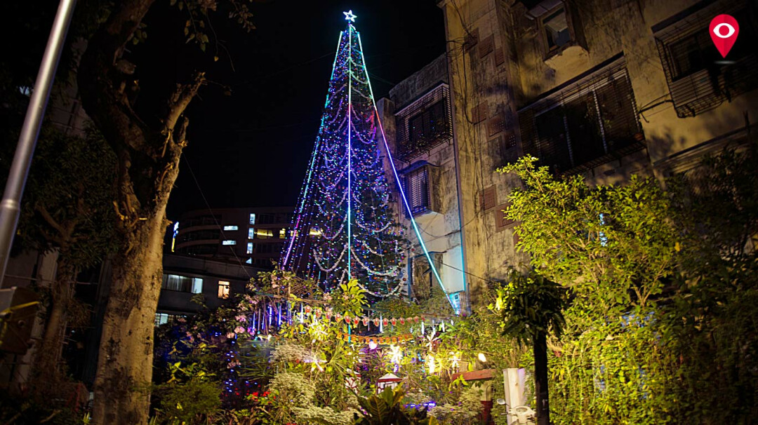 India's tallest Christmas tree is right here in Mumbai! | Mumbai Live