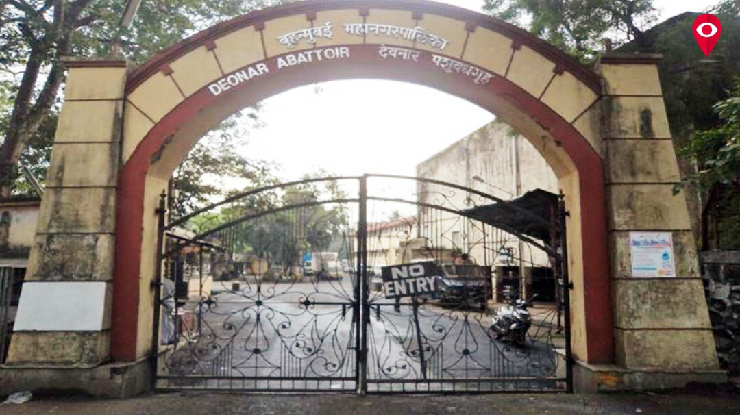 Deonar slaughterhouse generates 1000 units of electricity | Mumbai Live