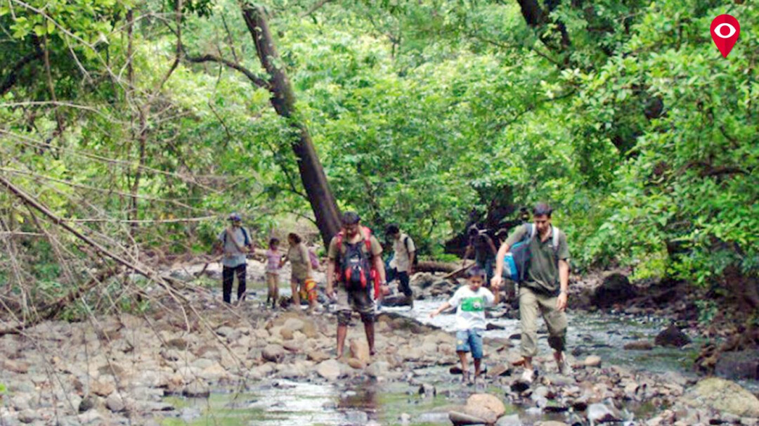 Get ready for a monsoon trek at Sanjay Gandhi National Park! | Mumbai Live
