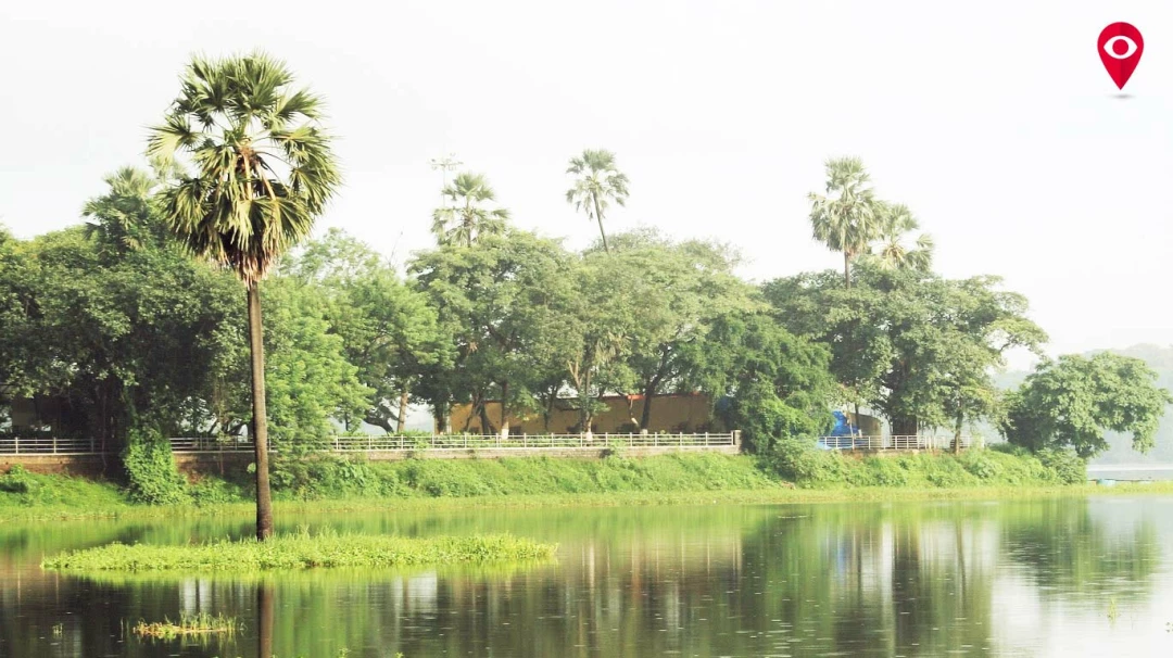 Powai Lake beautification: Nitin Desai extends help to BMC