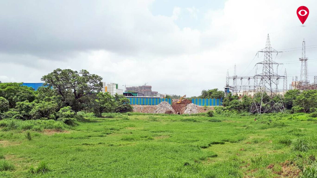 आरेमध्ये नक्की किती झाडांची कत्तल? | Aarey Colony | Mumbai Live