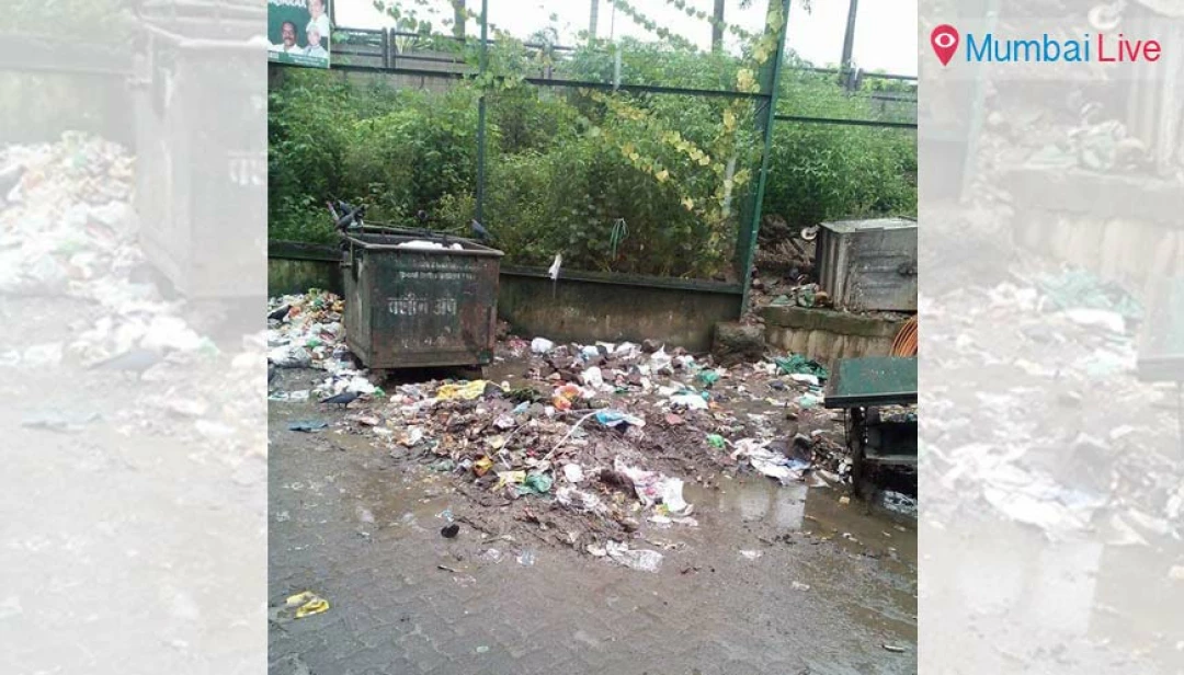 Remove the waste... | Mumbai Live
